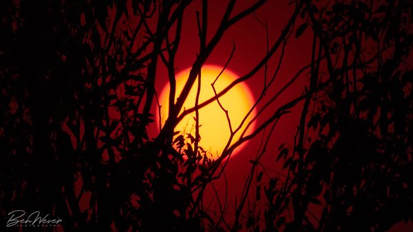Bushfire Sun | Blood Red Sun | Ben Wever Photography